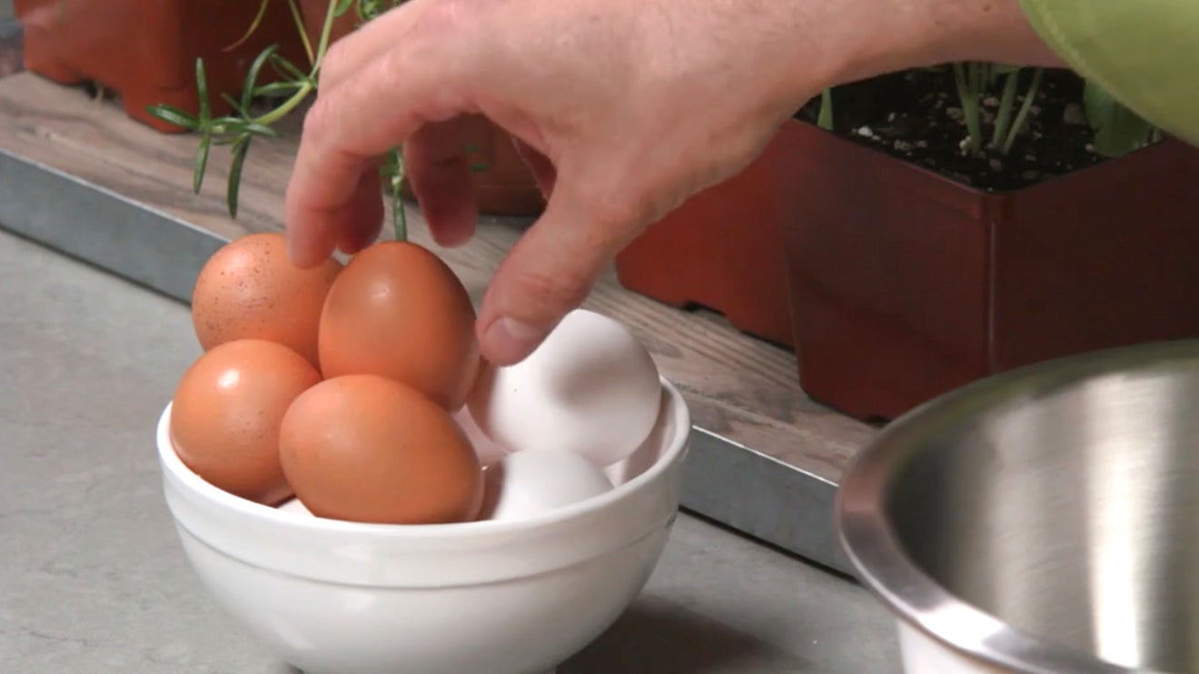 Eggs | Outside Learn